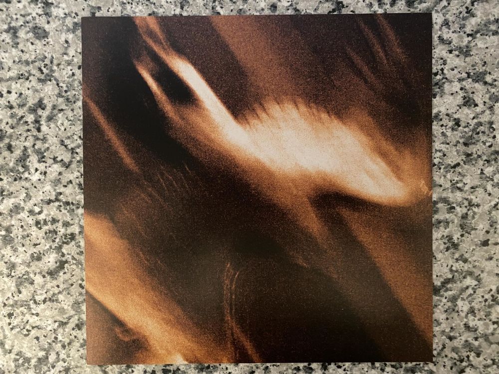 Agalloch – Ashes Against The Grain [NESI JPN Splatter LP] (Neu (gemäss ...