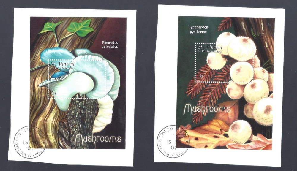Motivbriefmarken - Pilze 2 Blocks ST. VINCENT 2001 | Kaufen auf Ricardo