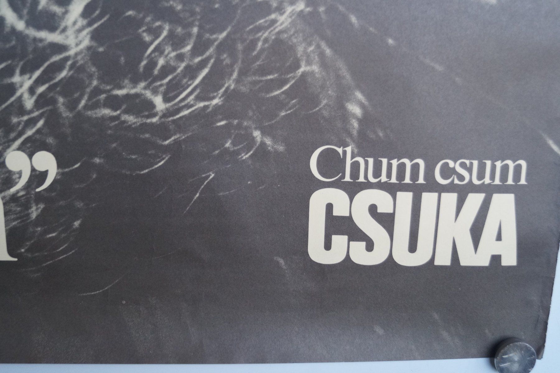 ⭐Original Plakat – „Walbaum / Chum csum CSUKA“ – Csuka Schuh (Gebraucht) in Härkingen für CHF ...