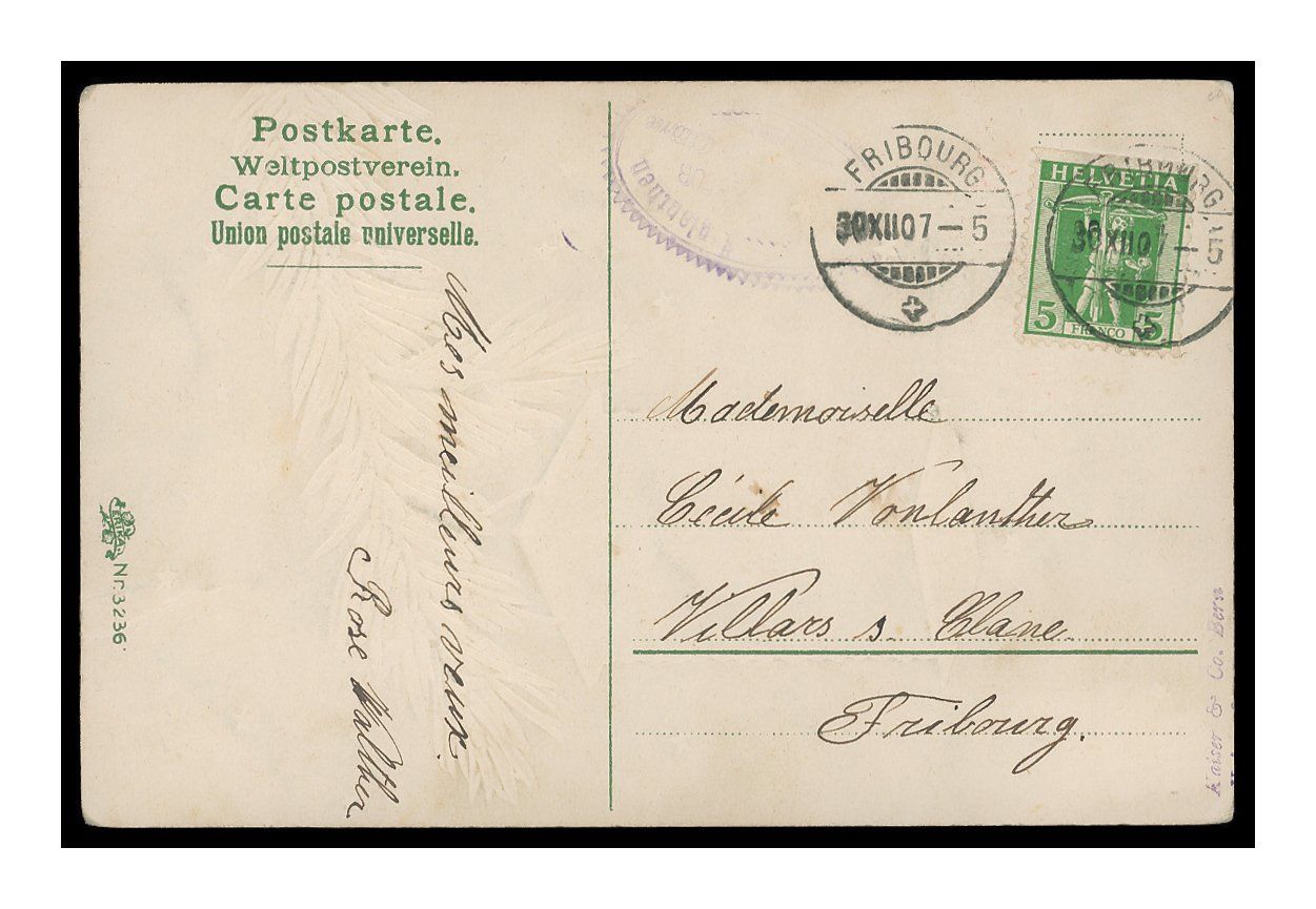 DIE BESTEN WÜNSCHE im NEUEN JAHRE - 1907 Celluloïds-Reliefs (D'occasion ...