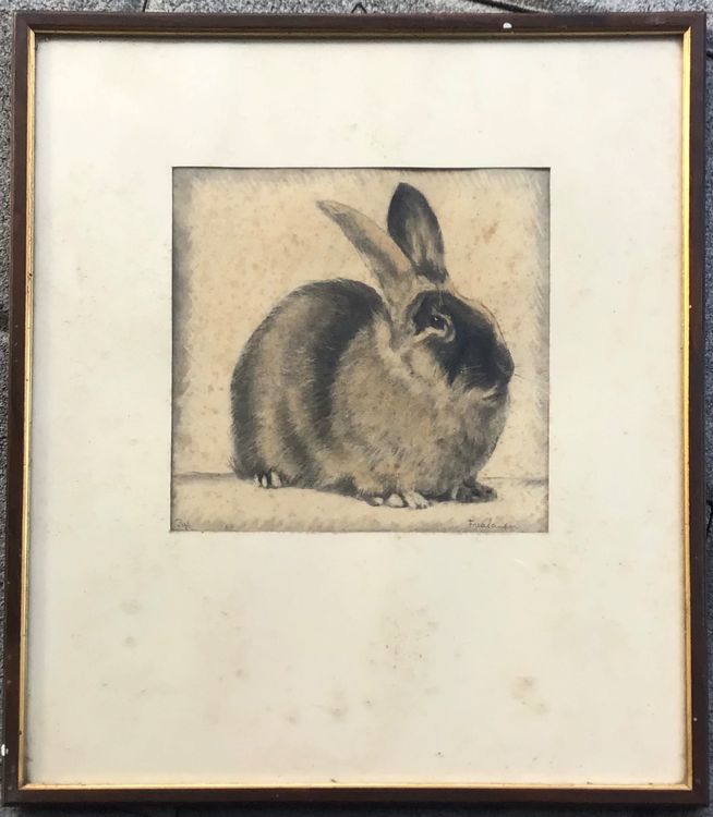 Antike Hase Zeichnung Unleserlich Signiert | Kaufen auf Ricardo