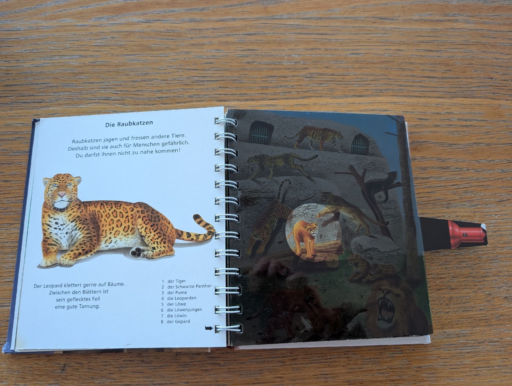 Kinderbücher Set Meyer "Licht an!"— Dino, Zoo und der Körper (Gebraucht ...