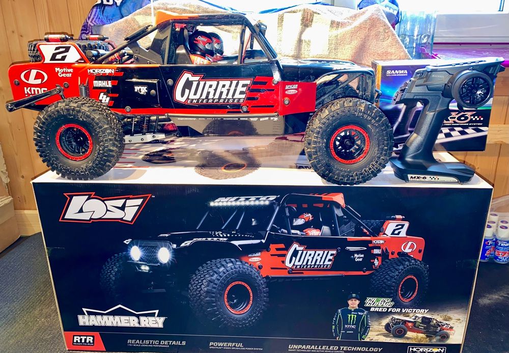 Losi Hammer Rey (Gebraucht) in Luchsingen für CHF 400 – mit Lieferung ...