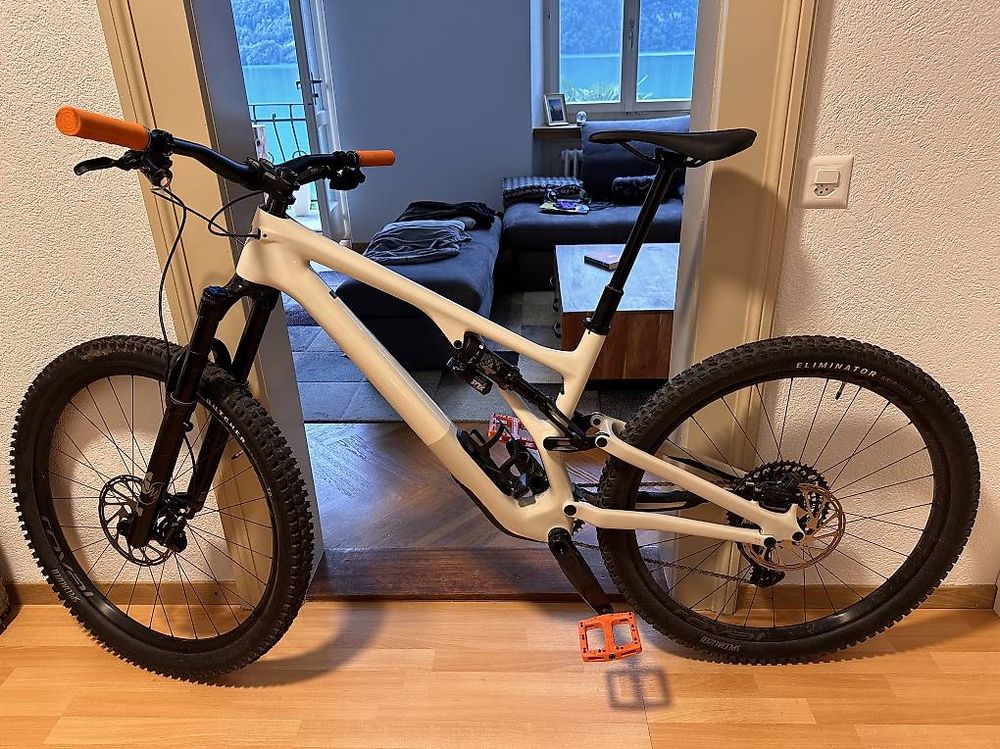 Specialized Stumpjumper Evo Expert S5/XL (Gebraucht) in Meiringen für ...