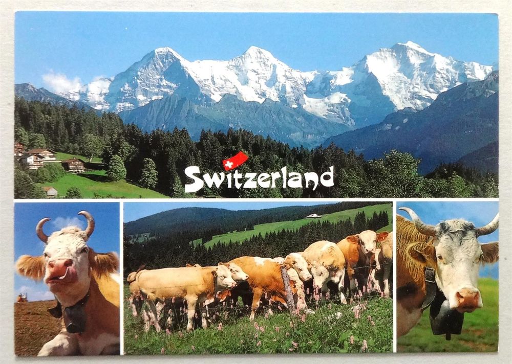 Switzerland | Kaufen auf Ricardo