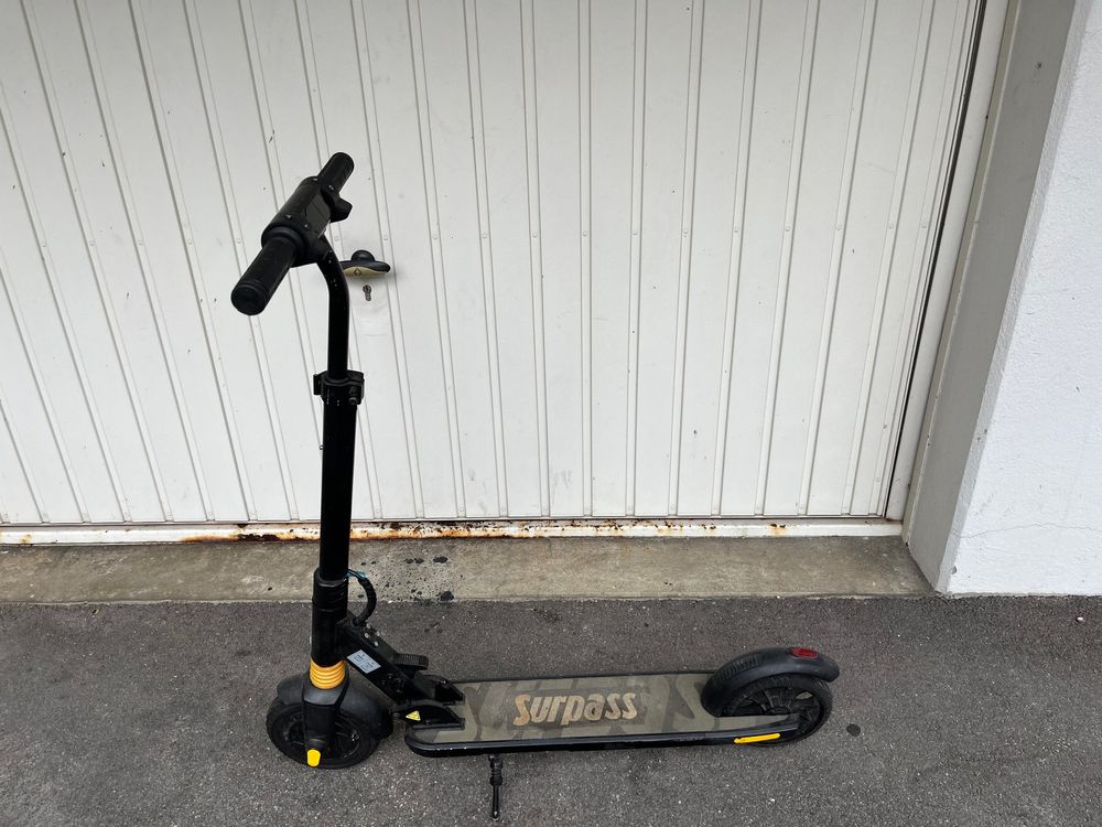 SURPASS Pro Black Edition 350 W 8 Elektroroller (Gebraucht) in ...