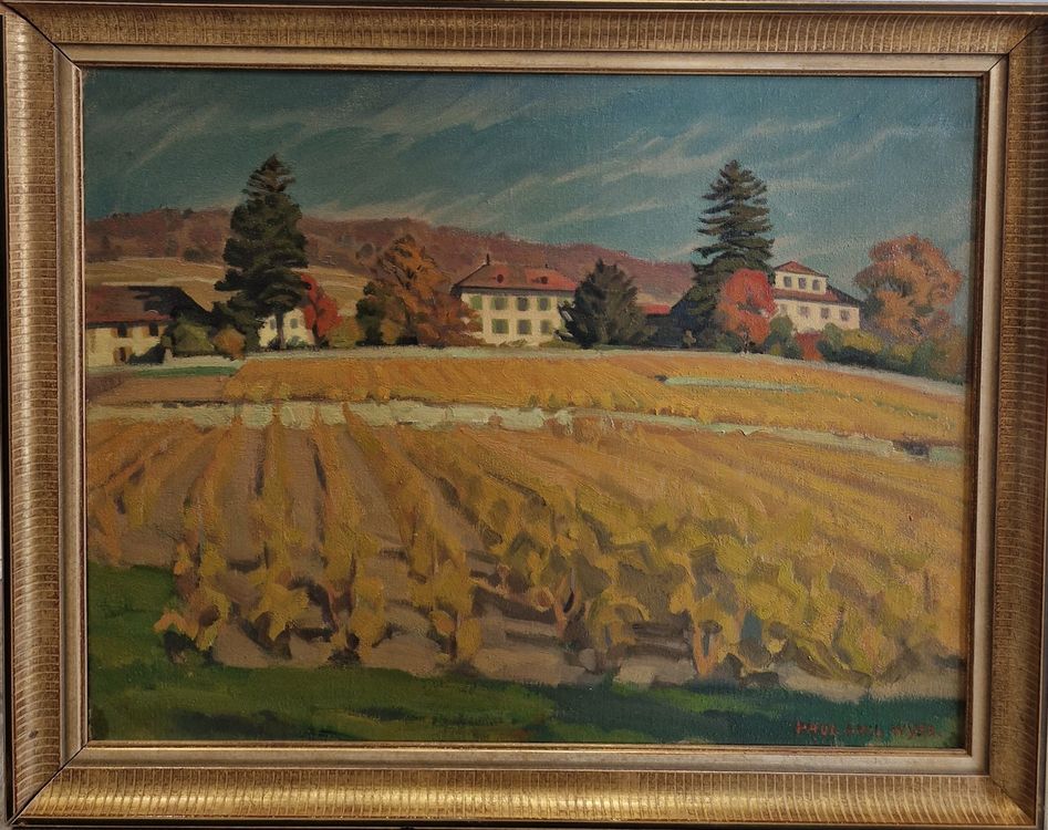 Huile sur toile de Paul-Emil Wyss (Gebraucht) in Renens VD für CHF 199 – nur Abholung auf ...