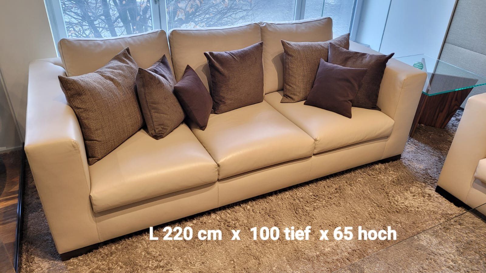 Erstaunlich Sofa Gebraucht In Der Nhe Ebenbild