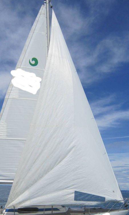 Genua-Segel, Ecume de Mer (Defekt) in Goldach für CHF 120 – mit Lieferung auf Ricardo kaufen