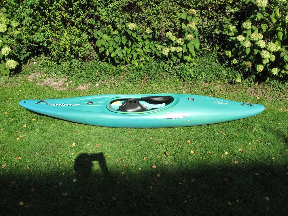 Kajak Dagger Animas, mit Zubehör (Gebraucht) in Zürich für CHF 199 ...