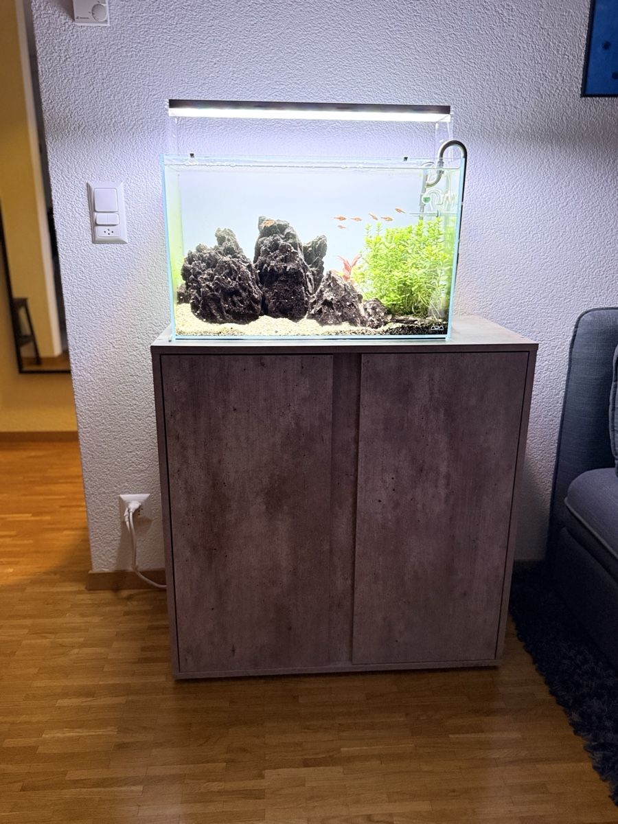 Aquarium/système aquascape complet avec meuble (Gebraucht) in Villars ...