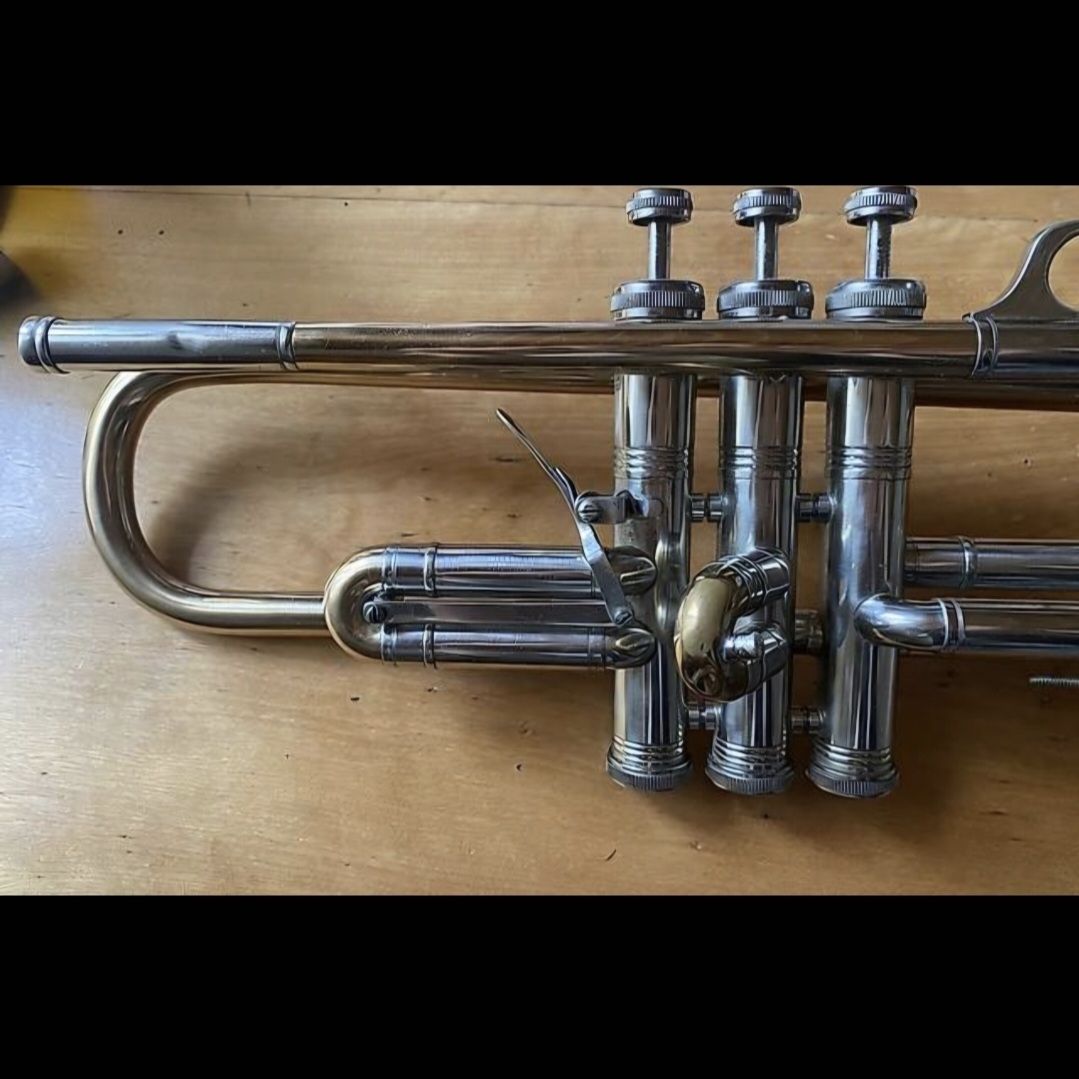 Gebr. Alexander Mainz B Trompete mit Koffer! (Gebraucht) in Zürich für ...