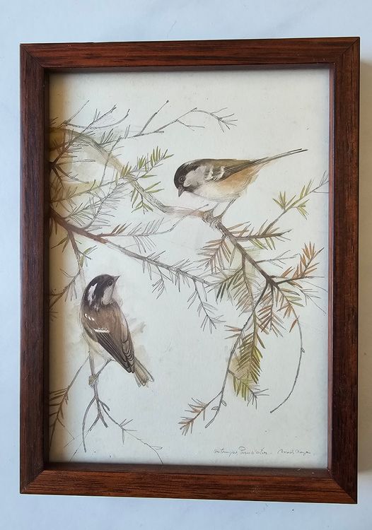 Vogelpaar Bild gerahmt Ast - Frühlingsbild (Gebraucht) in Witterswil ...