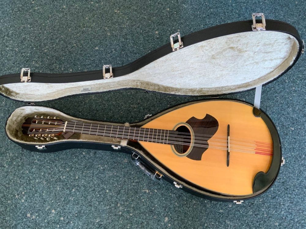 Suzuki Mandocello inkl. Koffer (Neu (gemäss Beschreibung)) in ...