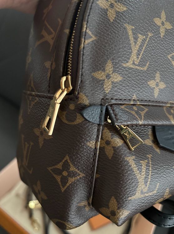 💋 Louis Vuitton Rucksack Palm Springs Mini MNG Canvas💋 (Neu (gemäss ...