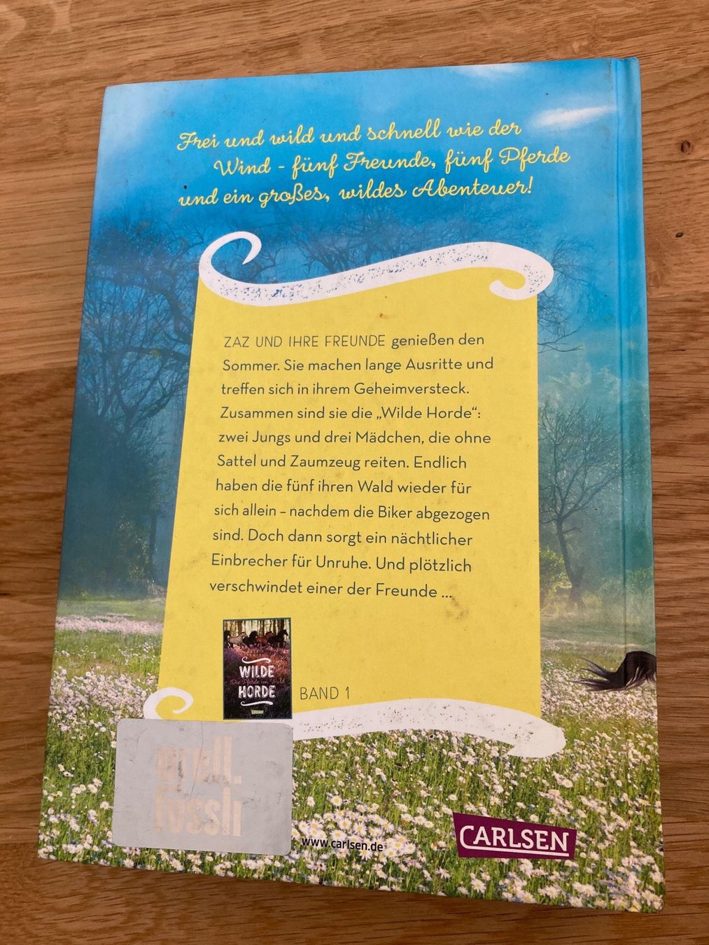 Katrin Tempel | Wilde Horde: Pferdeflüstern (Gebraucht) in Basel für ...