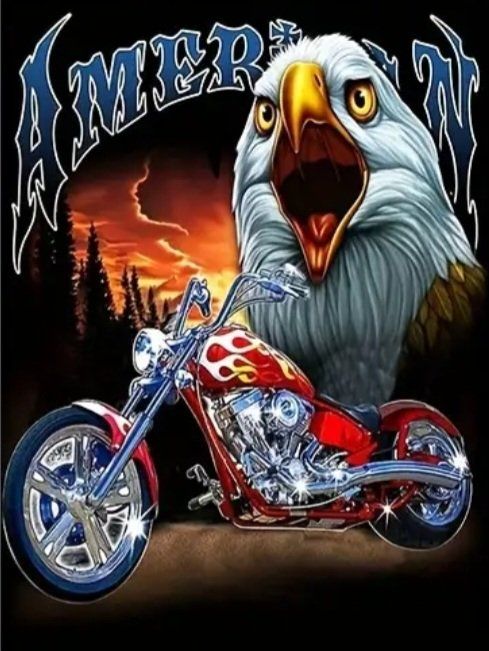 Diamant Painting Adler m. Bike A78 (Neu und originalverpackt) in ...