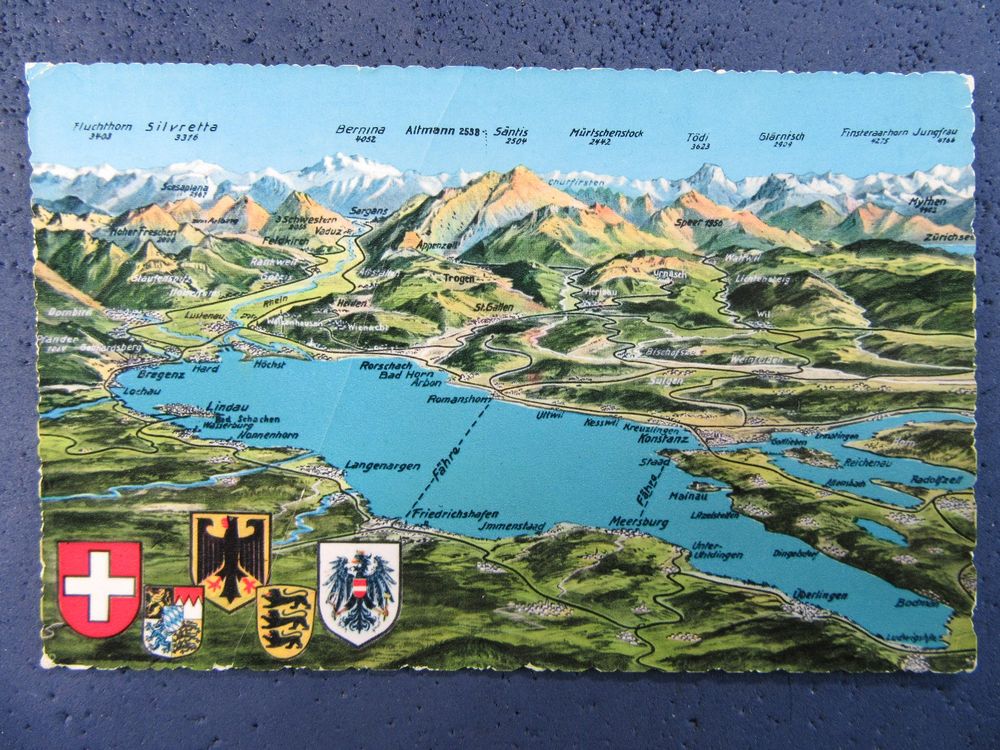 AK SG BODENSEE VOGELSCHAU 3 LÄNDER GEGEN ALPEN SCHWEIZ BUG | Kaufen auf ...