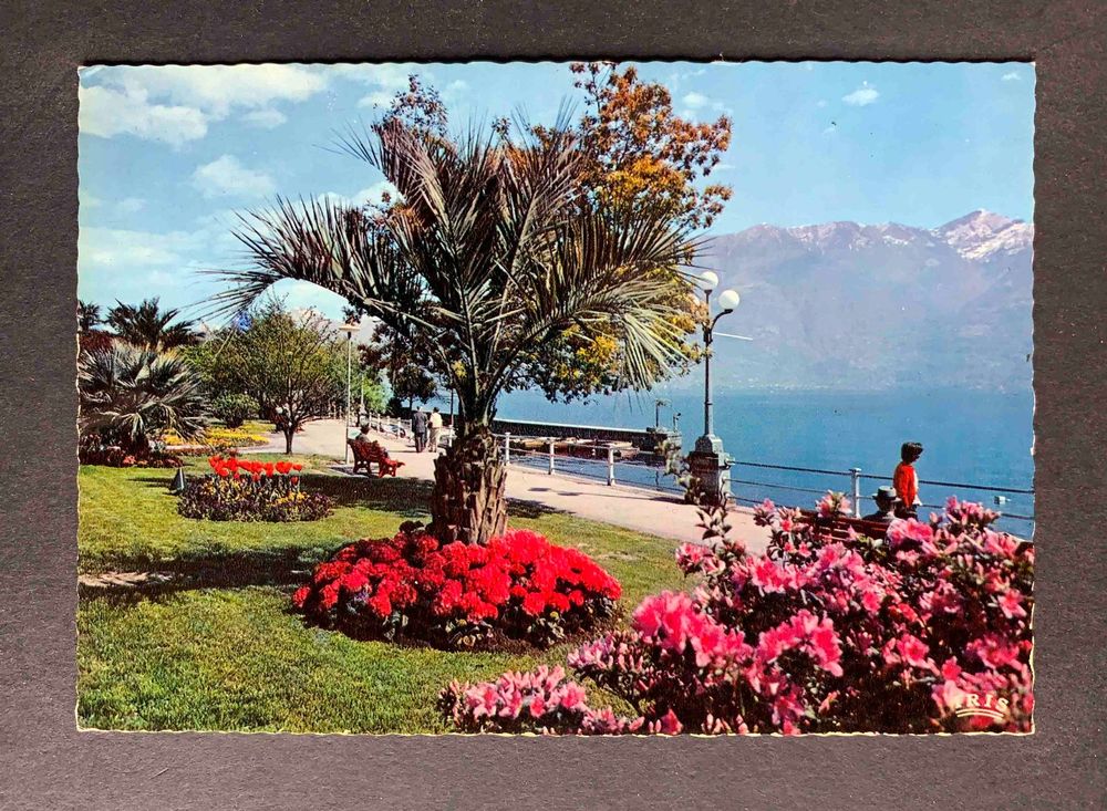 AK Locarno Lungolago Promenade Cartolina Postale (Gebraucht) in Goldau für CHF 3 – mit Lieferung ...