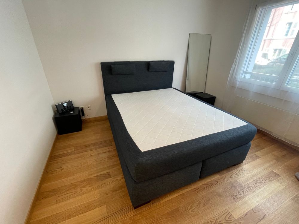 Boxspringbett Pfister Maxime Uno | Kaufen auf Ricardo