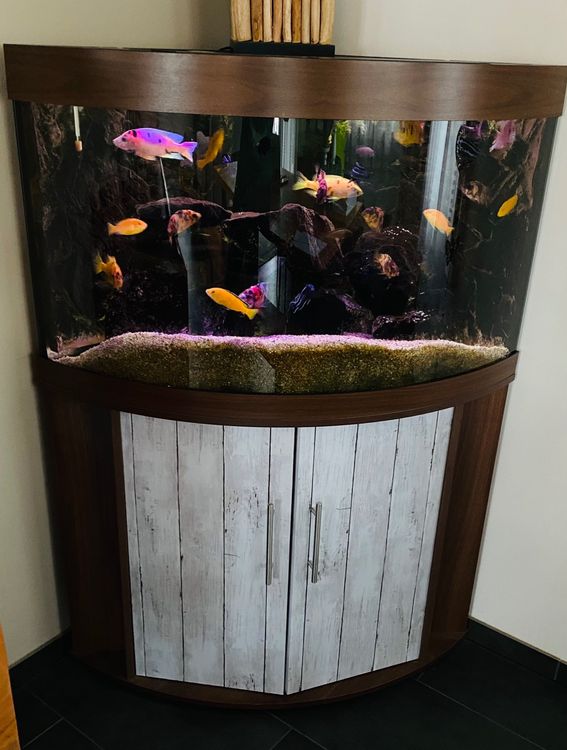 Komplettes Aquarium 190L (Gebraucht) in Murgenthal für CHF 205 – nur ...