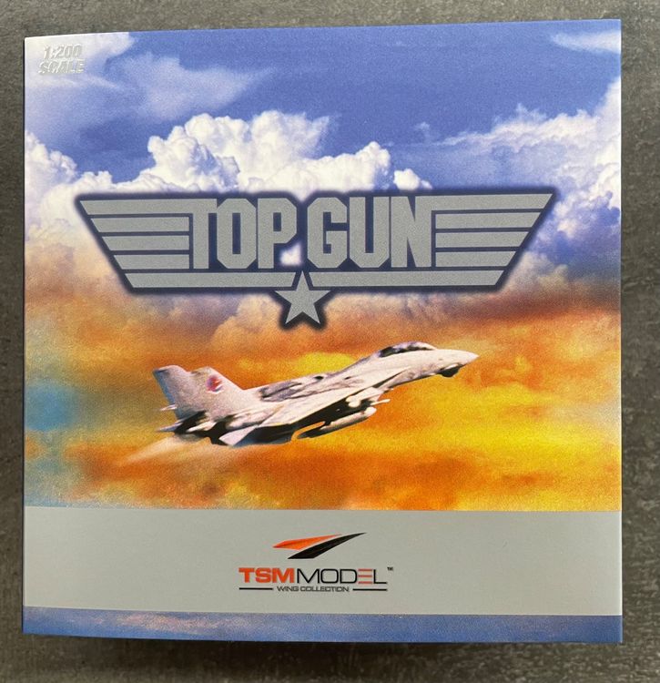 TSM F-14A "Top Gun" Set (Neu und originalverpackt) in Sursee für CHF 48 ...