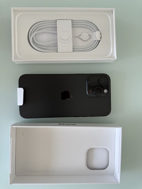 NEUES iPhone 16 Pro Max 256 GB Titan Schwarz (Neu (gemäss Beschreibung ...