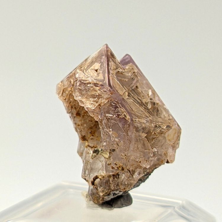 SKELETT- und FENSTER-AMETHYST mit EINSCHLÜSSEN, Sardinien (Neu (gemäss Beschreibung)) in Balerna ...