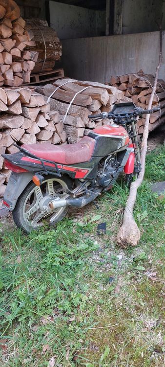 Honda MBX 125 Motorrad (Defekt) in Speicherschwendi für CHF 454 – nur ...