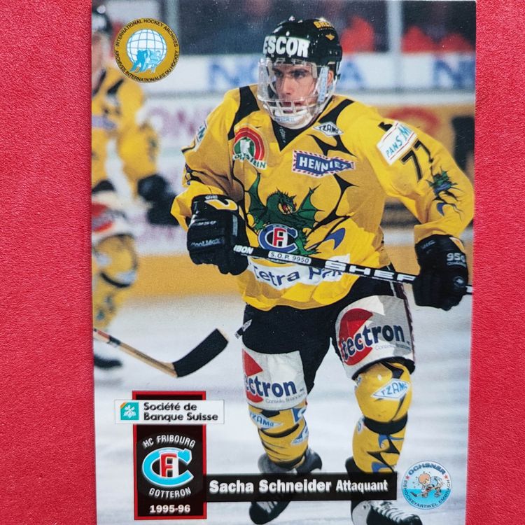 Sacha Schneider - HC FRIBOURG - 1995/96 (Gebraucht) in Dübendorf für CHF 3 – mit Lieferung auf ...