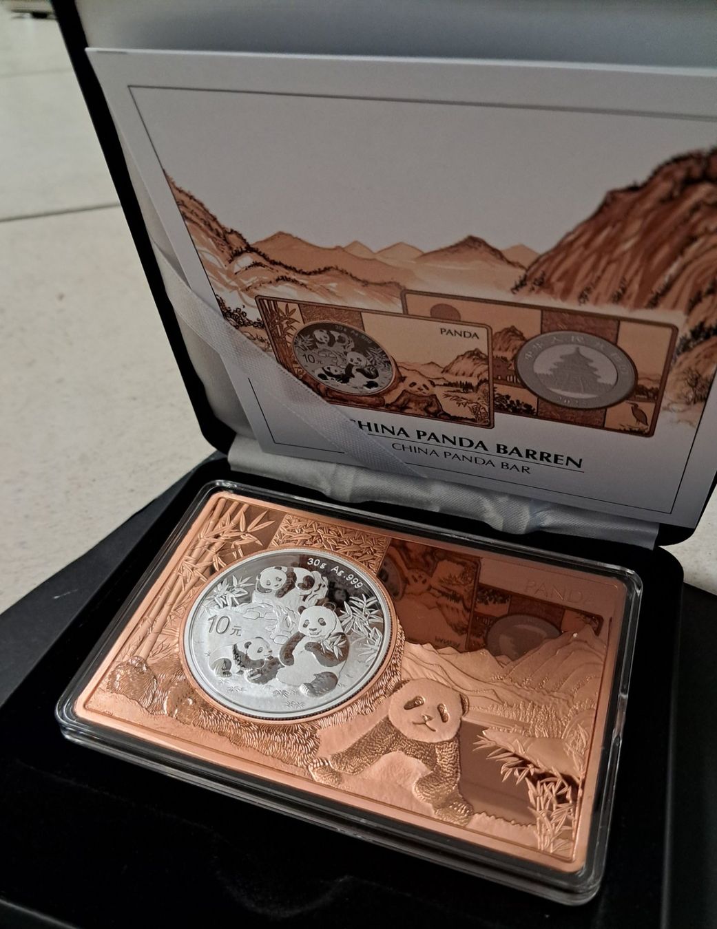 1 OZ China Panda 10 Yuan 2025 inkl Münzbarren in Box (Neuf avec emballage d'origine) à ...