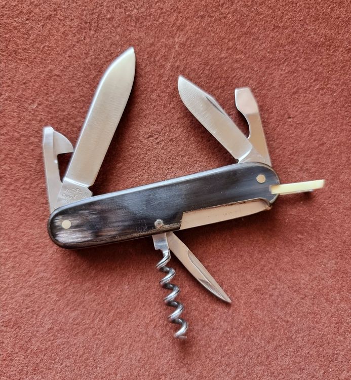 VICTORINOX VICTORIA MESSER MIT HORNSCHALEN (Gebraucht) in Chur für CHF ...