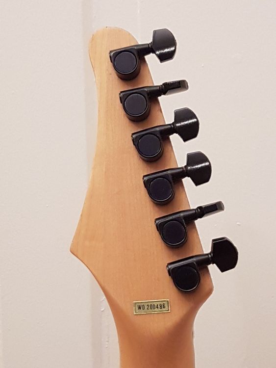 Rarität!!! Hohner ST Lead Professional | Kaufen auf Ricardo