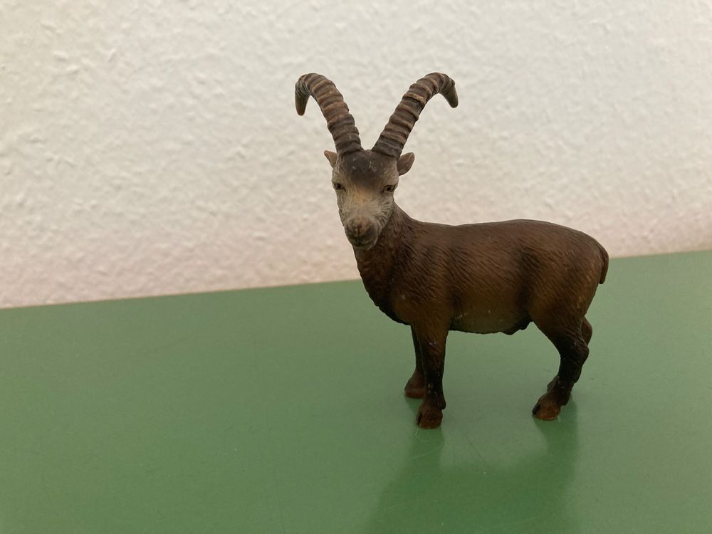 Schleich Steinbock (Gebraucht) in für CHF 5 – mit Lieferung auf Ricardo ...