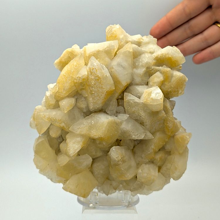 Grosse GELBE CALCIT, BITERMINIERT und ZWILLINGE, Sardinien (Neu (gemäss Beschreibung)) in ...