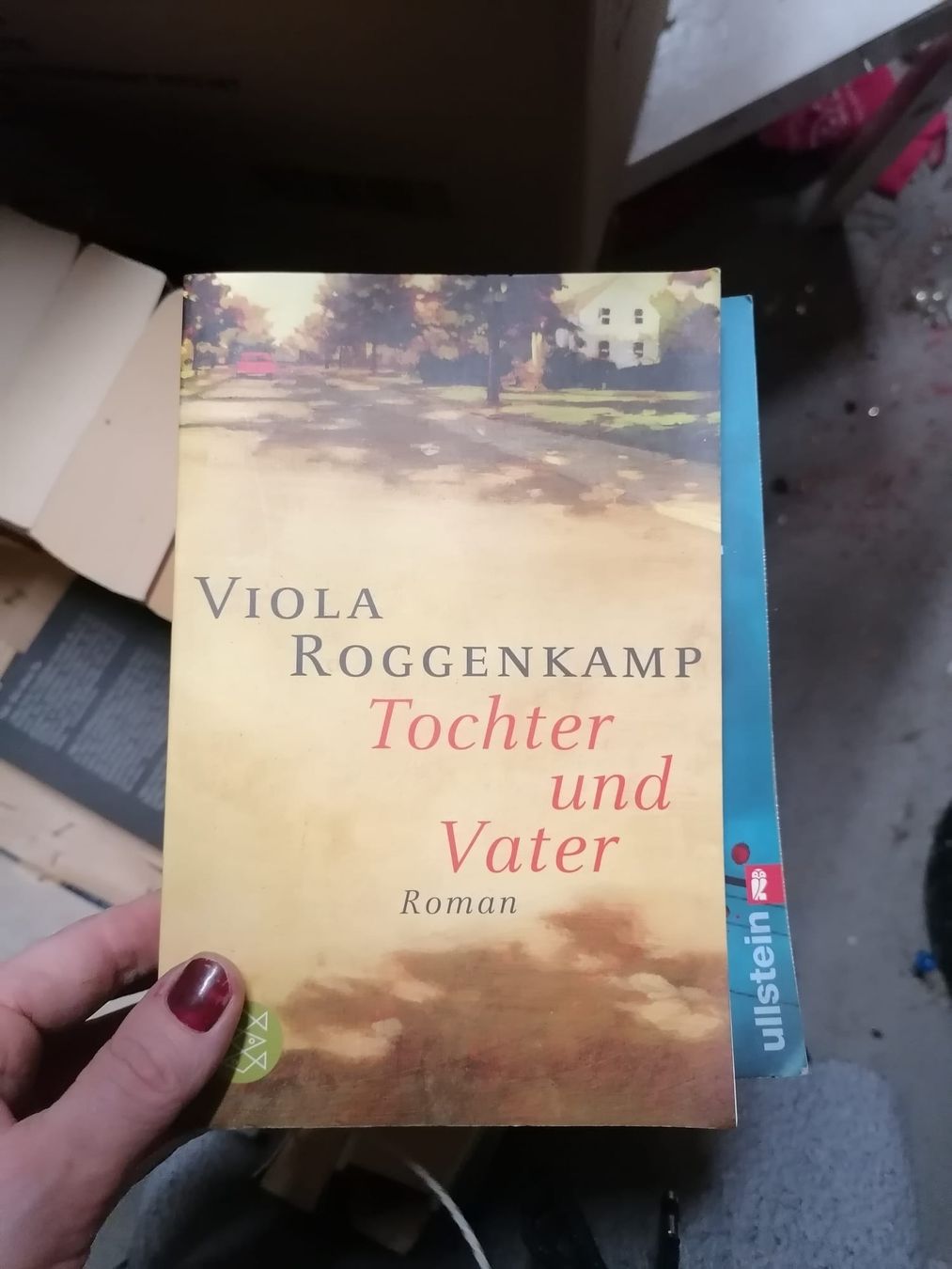 Leena Lander - Mag der Sturm kommen, Roman, Herbstlektüre! (Gebraucht ...
