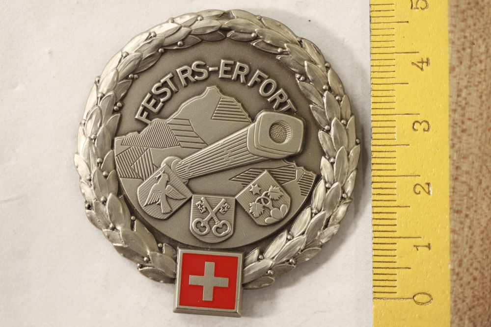Badge Fest Rs Er Fort (Gebraucht) in La plaine für CHF 5 – mit ...