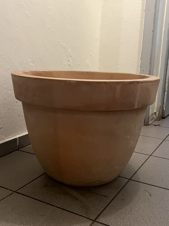 Terrakotta Topf Gross