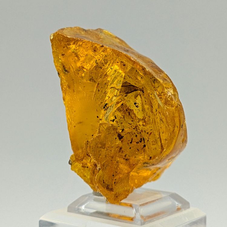 HONIGFARBENER KOPAL-BERNSTEIN mit MÜCKEN und INSEKTEN (Neu (gemäss Beschreibung)) in Balerna für ...