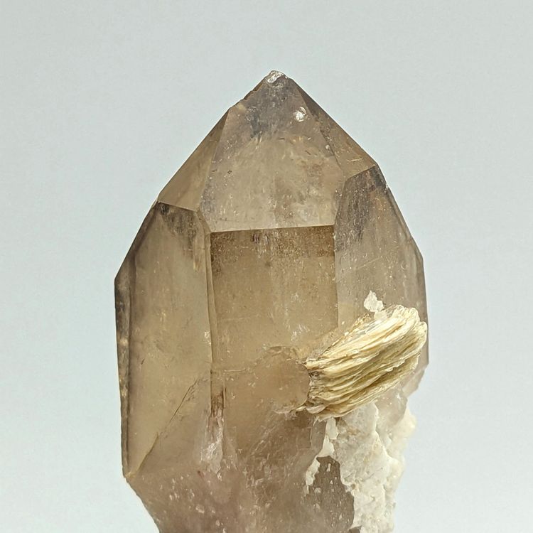 RAUCHQUARZ mit MUSKOVITMICA, Brasilien (Neu (gemäss Beschreibung)) in Balerna für CHF 55 – mit ...