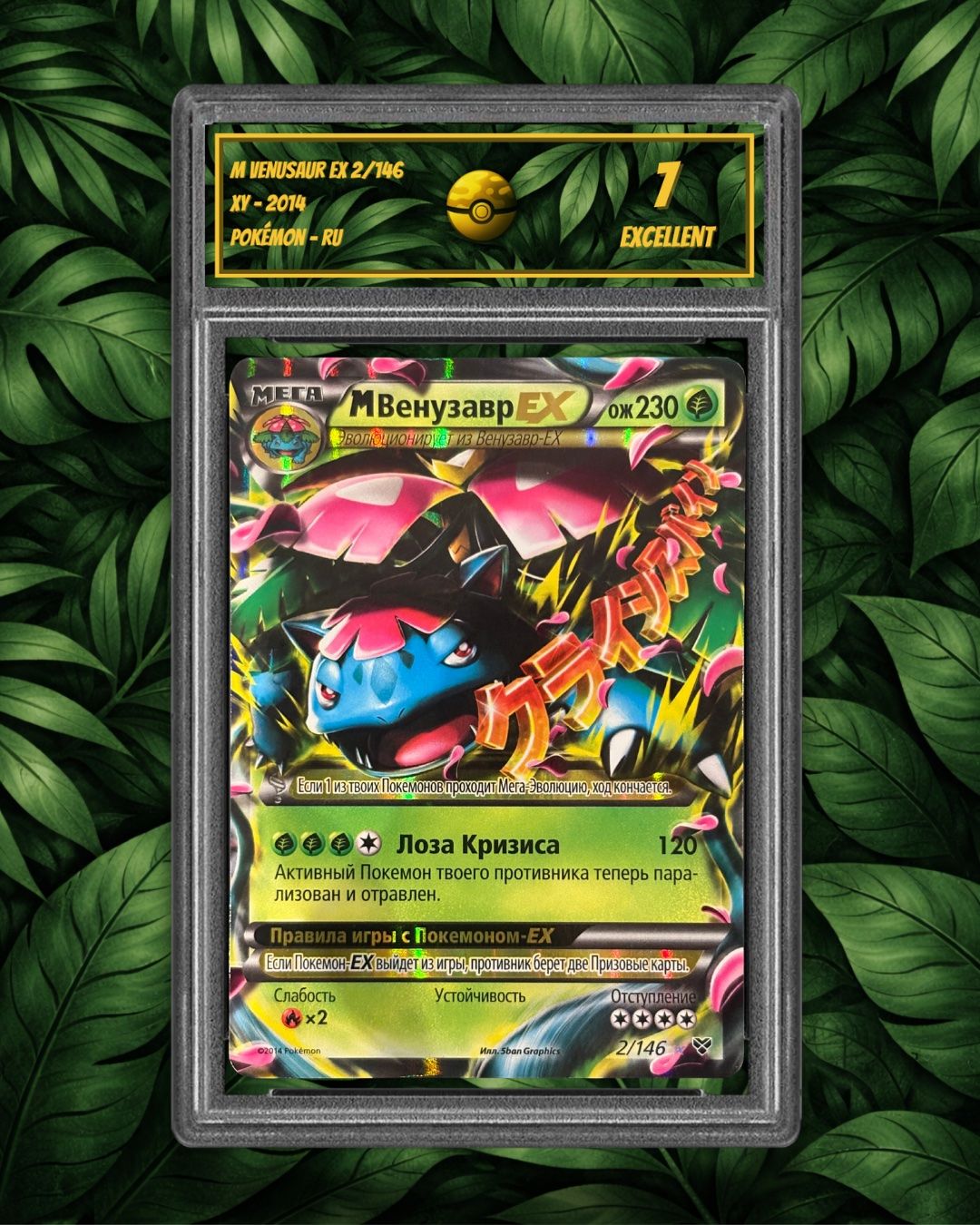 M Venusaur EX 2/146 - SG 7 - RUSSIAN - ULTRA RARE (Gebraucht) in Chêne ...