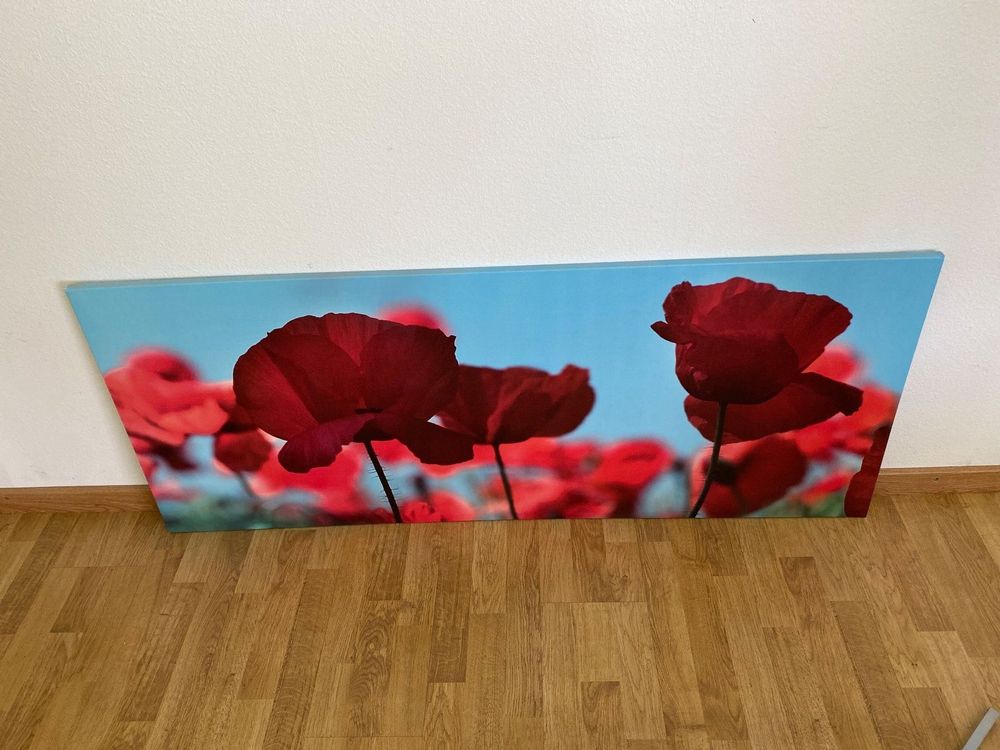 Wandbild IKEA | Kaufen auf Ricardo