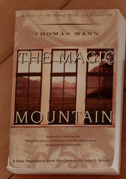 Thomas Mann – The Magic Mountain (EN) | Kaufen auf Ricardo