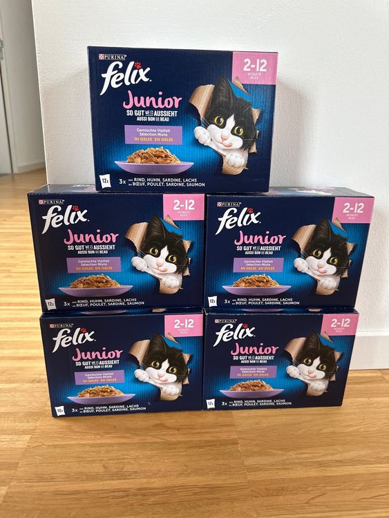 XXL Set Felix Junior | Kaufen auf Ricardo