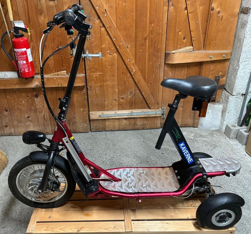 Dreirad Roller Erwachsene