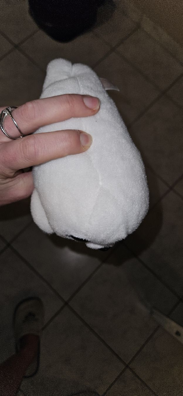 Adorable peluche Ty Beanie Boo's polaire aux yeux bleus (Neuf (Voir ...