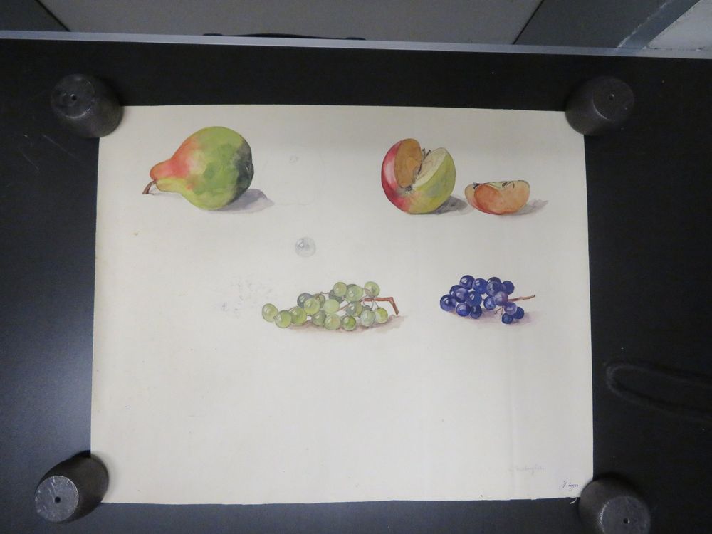 H. Egger Obst Aquarelle II signiert mit Trockenstempel (Gebraucht) in Zofingen für CHF 35 – mit ...