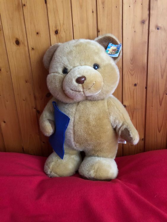 Teddy, 50 cm gross (Neu (gemäss Beschreibung)) in Grenchen für CHF 13 – mit Lieferung auf ...