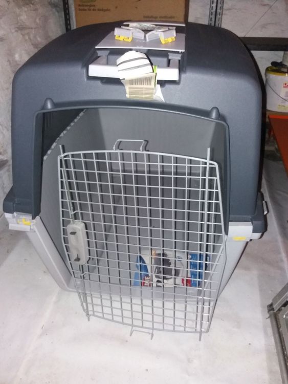Hundebox Transportbox Flugzeug | Kaufen auf Ricardo