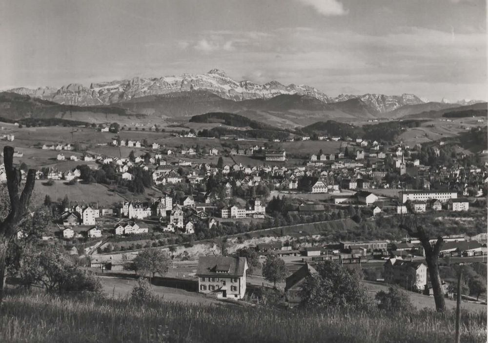 Herisau mit Alpsteinkette | Kaufen auf Ricardo